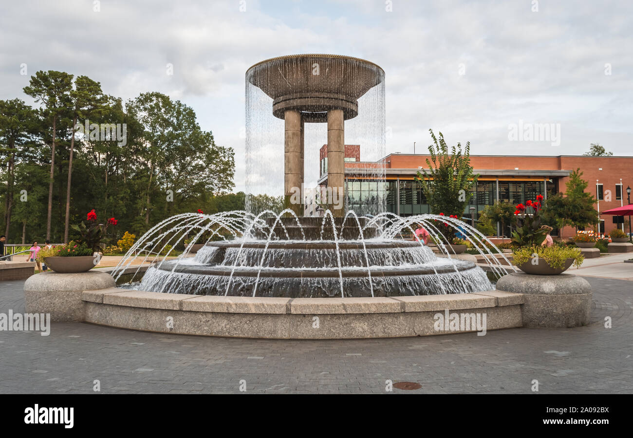 Town Of Cary Art Center