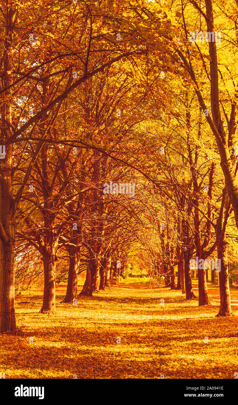 Seasonal travel, retro backdrop and rural environment concept ...