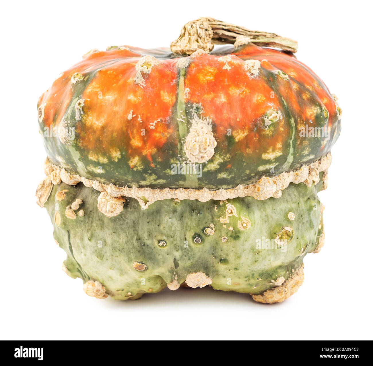 Scary looking spooky pumpkin isolated on white background Stock Photo ...
