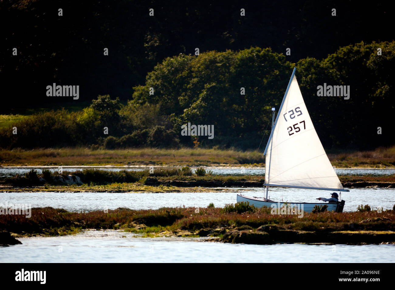 sail,sailing,boat,boating,yacht,yachting,sail,estuary,inlet,inlets,man ...