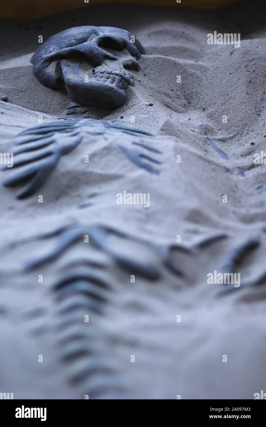 Excavated skeleton dummy lying in sand Stock Photo - Alamy