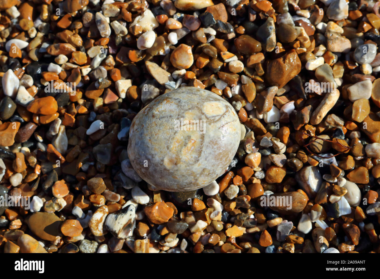 Pebble face hi-res stock photography and images - Alamy