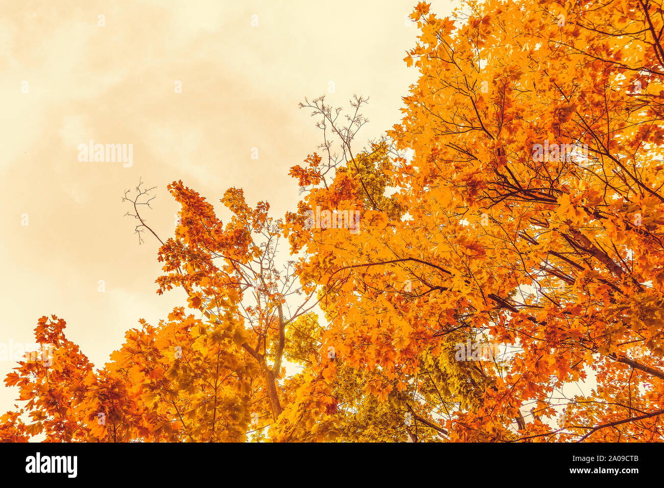 Seasonal travel, retro backdrop and rural environment concept ...