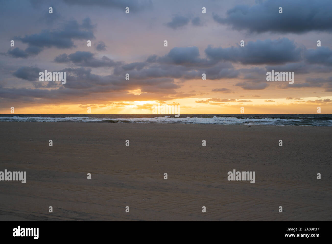 An early morning photo of the smooth sandy beach on Long Beach Island ...