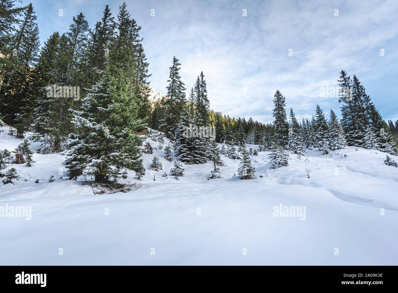 Alpine scenery in the Austrian mountains with snowy trees and white ...