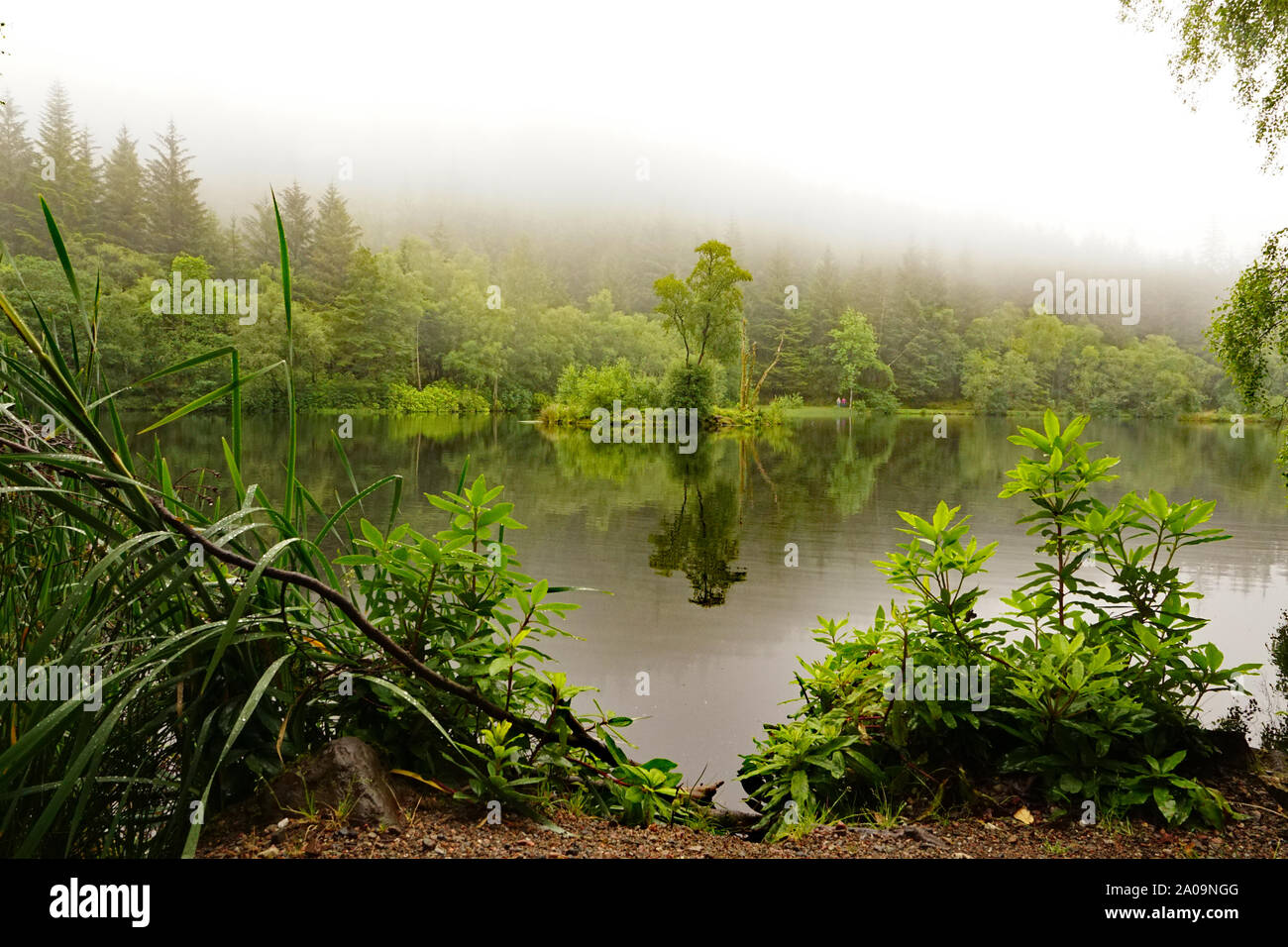 Misty Glencoe Lochan Trails Walk in Scotland, Scottish Highlands Stock ...