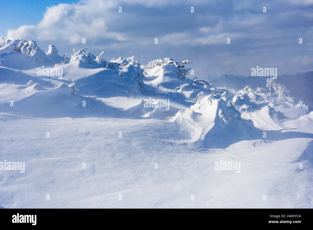 Frozen nature in blizzard, shot in Romania mountains Stock Photo - Alamy