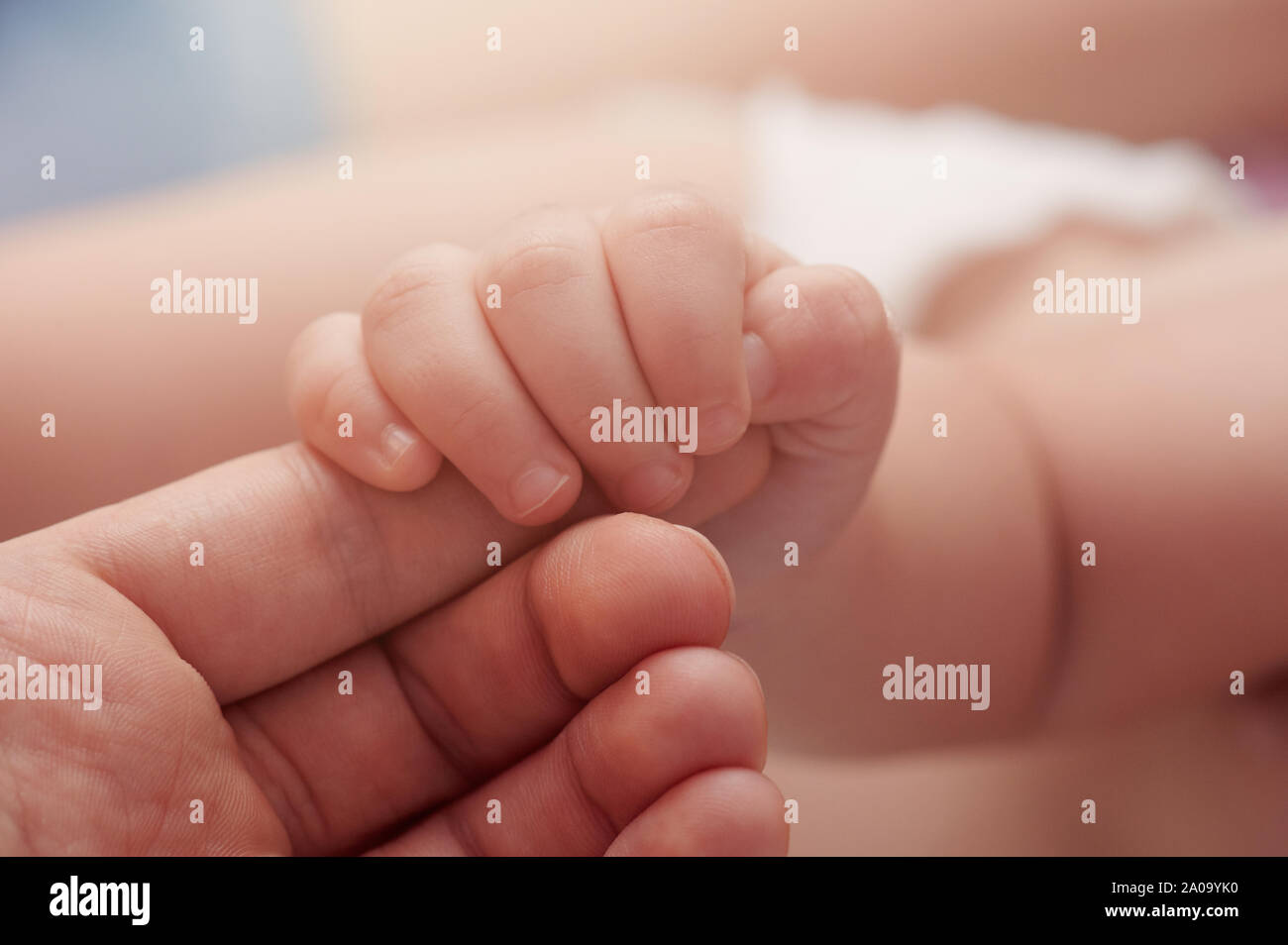 Hold baby hand hi-res stock photography and images - Alamy