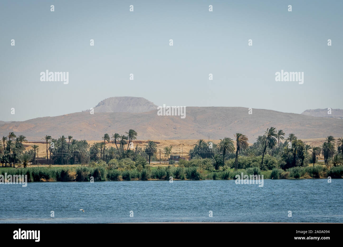 Landscape on the banks of the Nile river. Egypt. Africa Stock Photo - Alamy