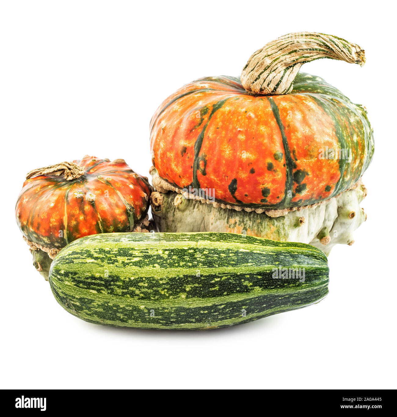 Spooky scary pumpkins and squash isolated on white background Stock ...