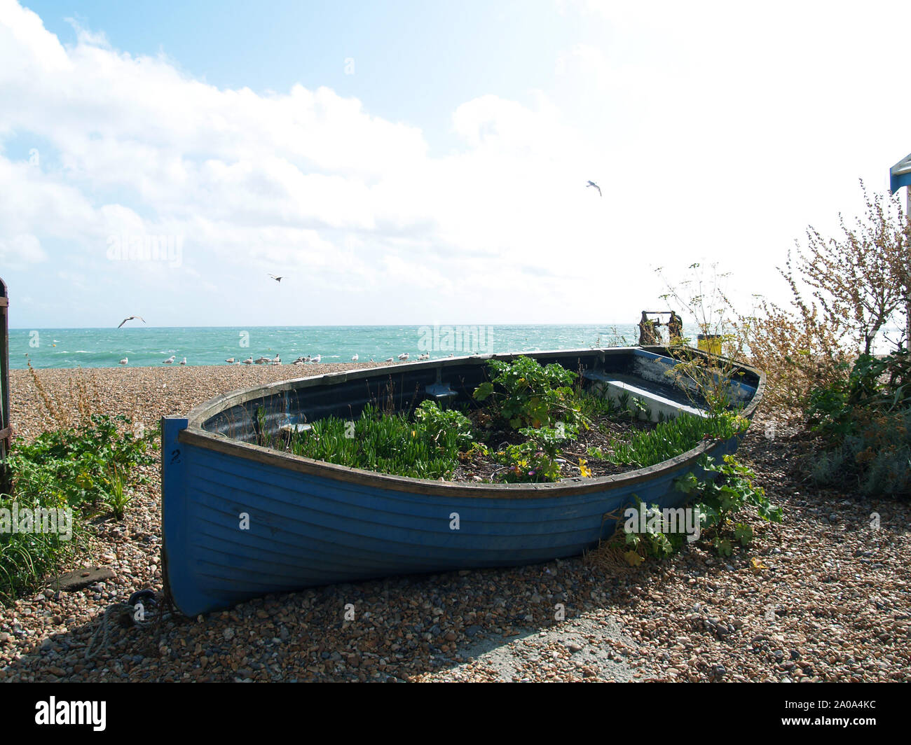 Old unusable boat on the beach Stock Photo - Alamy