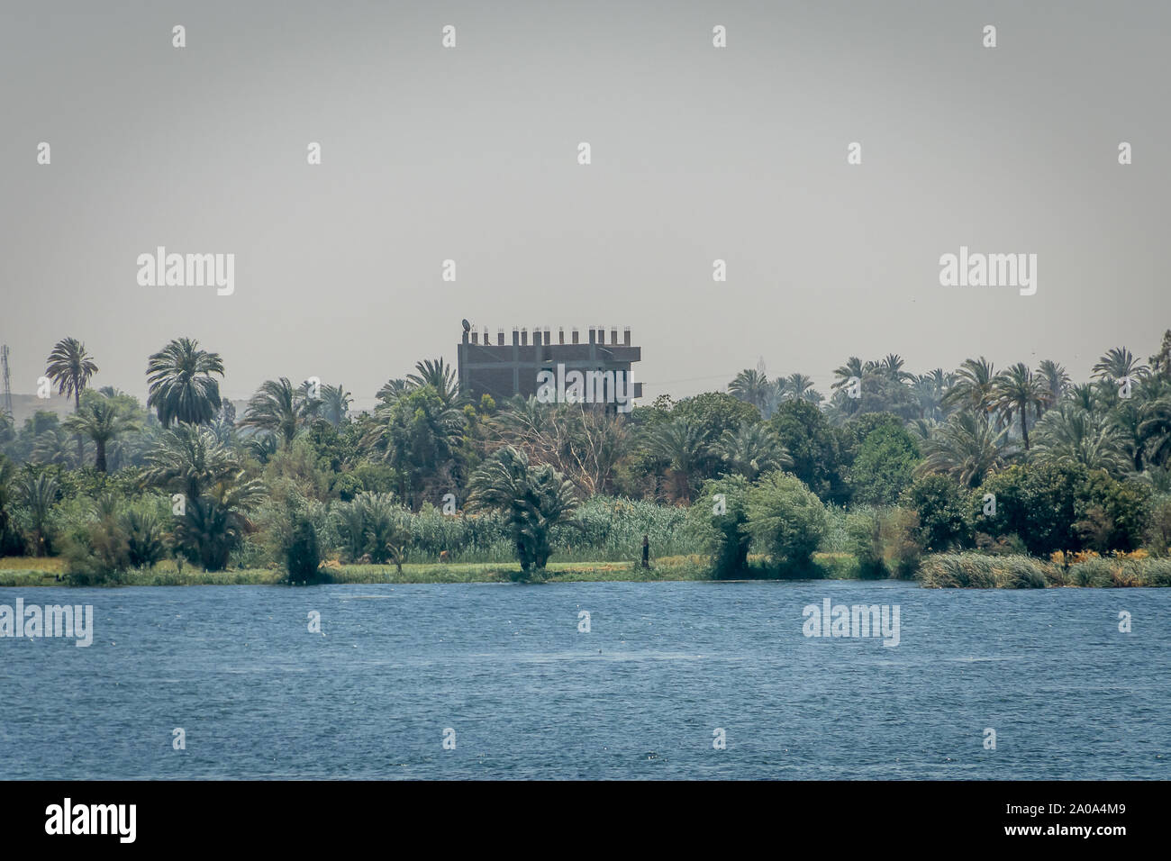 Buildings and homes on the banks of the Nile river. Egypt. Africa Stock ...