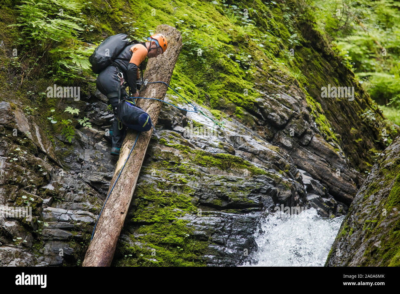 Man carefully moves across log before rappelling into a canyon Stock ...