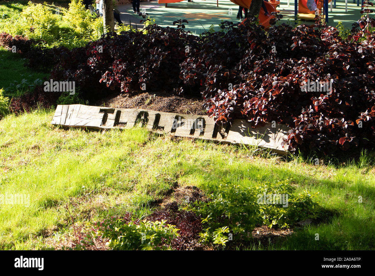 Tlalpan mexico city hi-res stock photography and images - Alamy