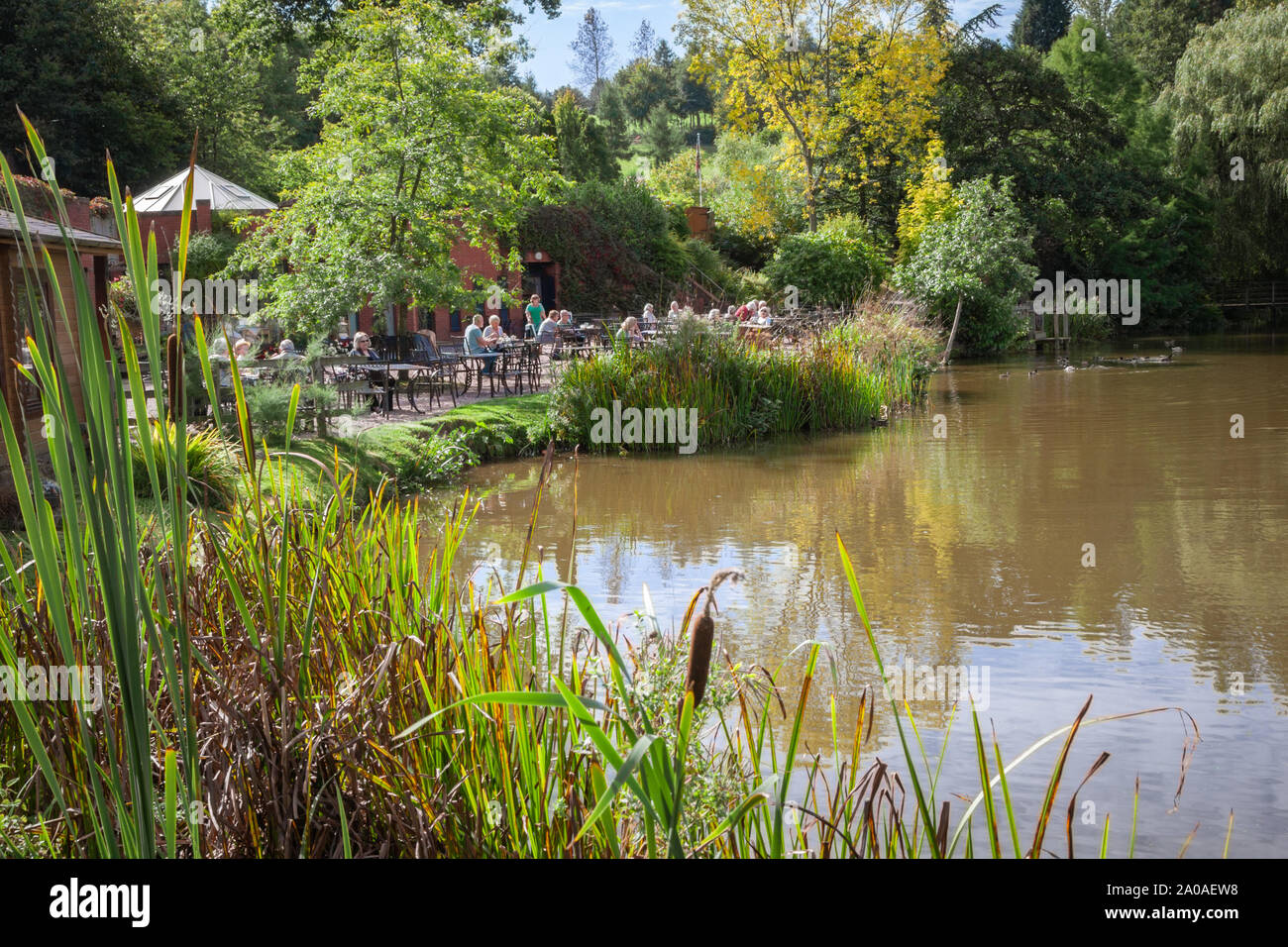 Bodenham Arboretum, Worcestershire, UK Stock Photo - Alamy