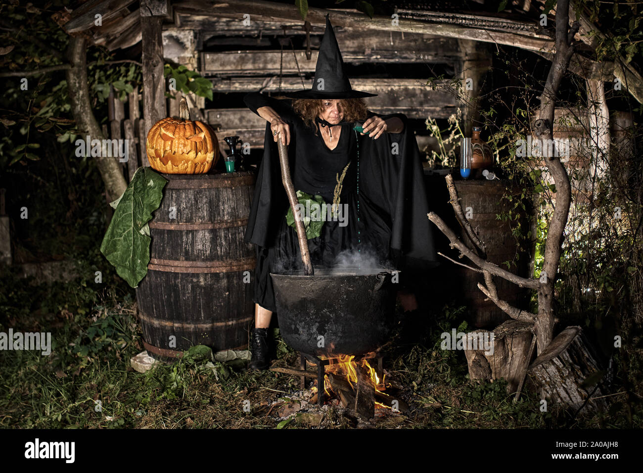 Old witch brewing deadly potion for Halloween in a cast iron pot Stock ...