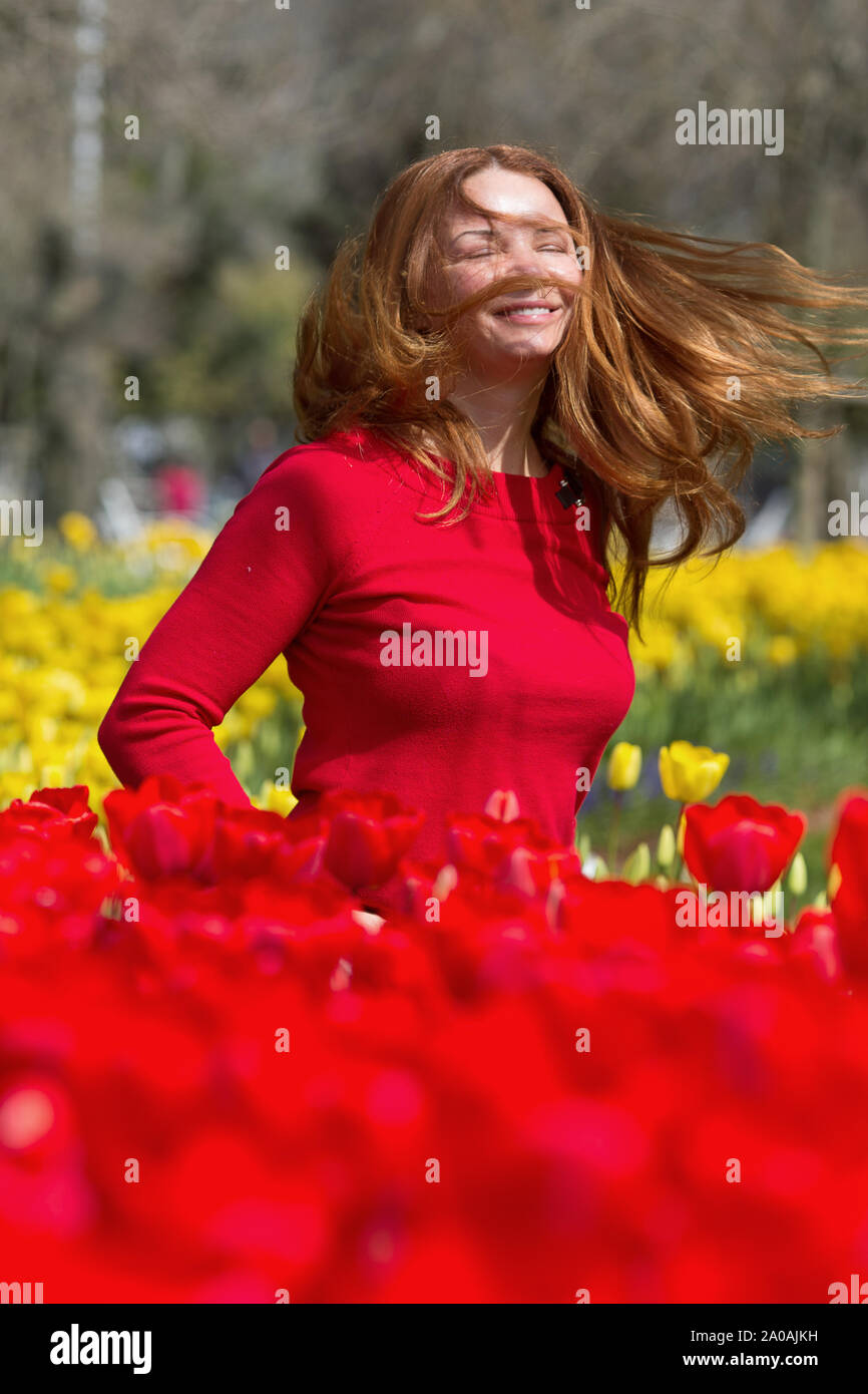 Laughing lady around red tulips. Istanbul Stock Photo - Alamy