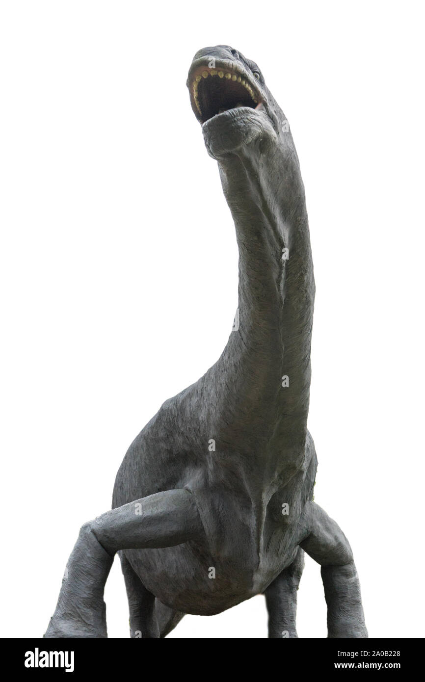 Brontosaurus isolated on white background Stock Photo - Alamy