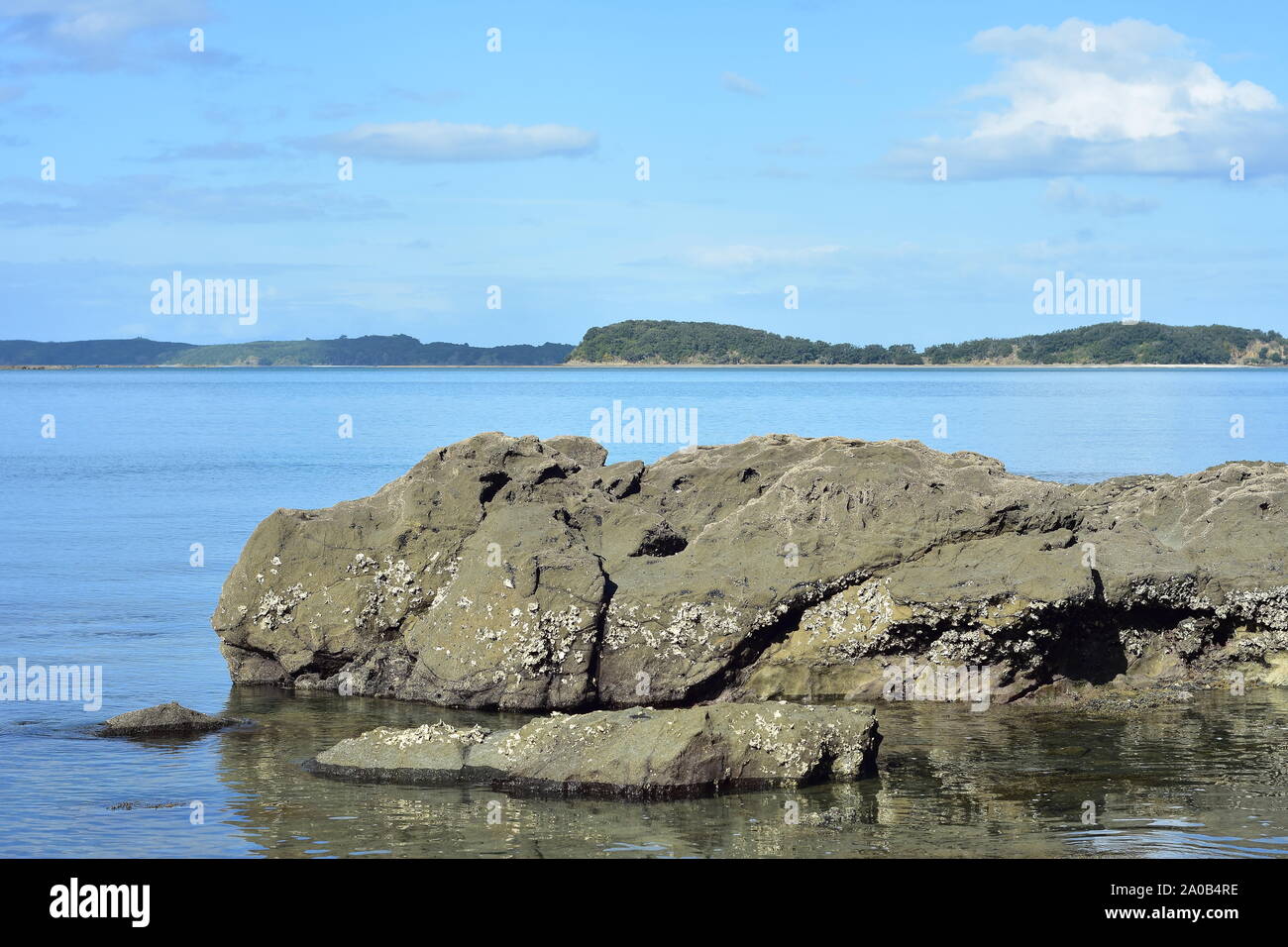 Coastal rock partially covered with sea shells under high tide mark ...