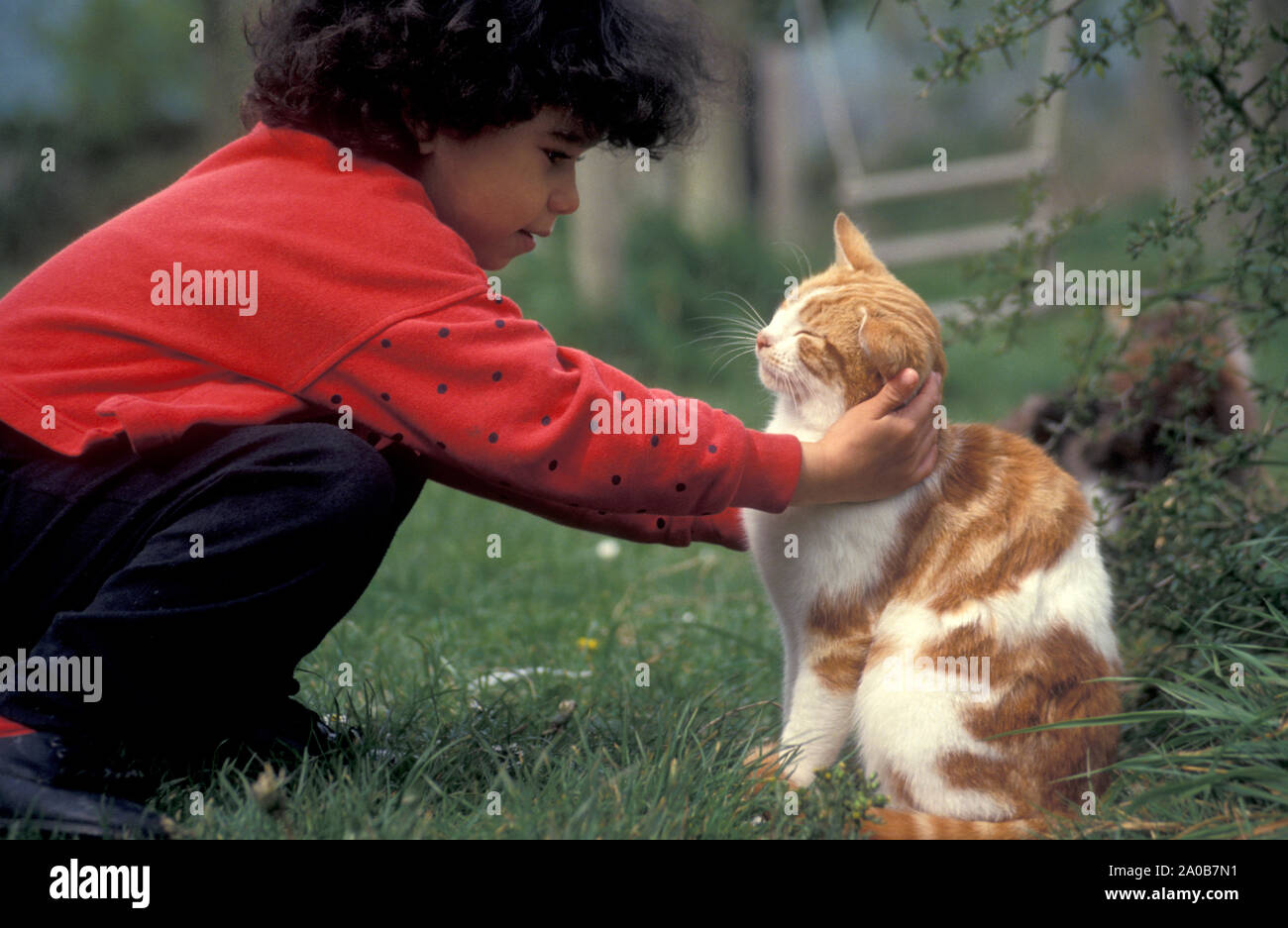 multicultural little girl petting ginger cat Stock Photo - Alamy