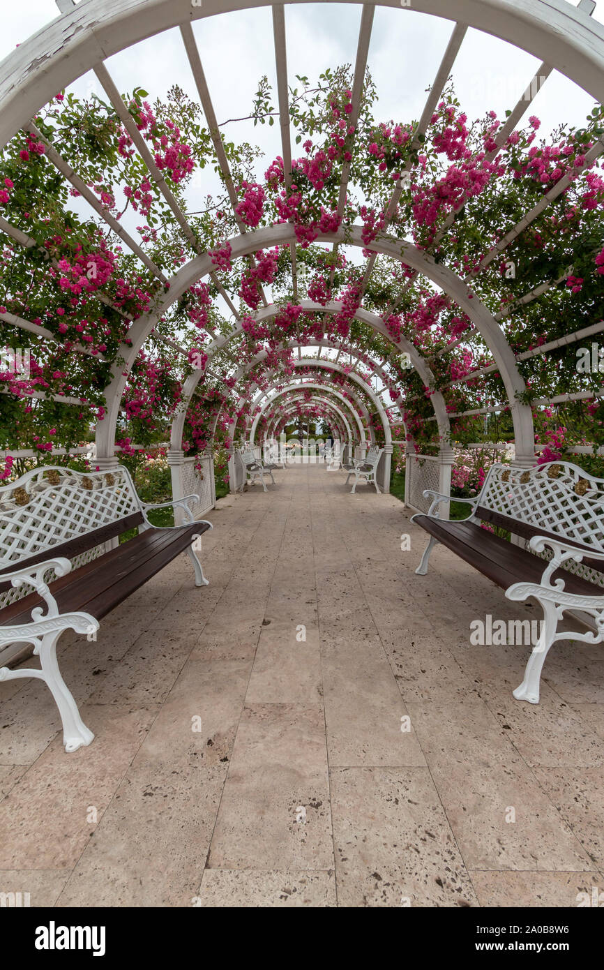 Flower tunnel hi-res stock photography and images - Alamy