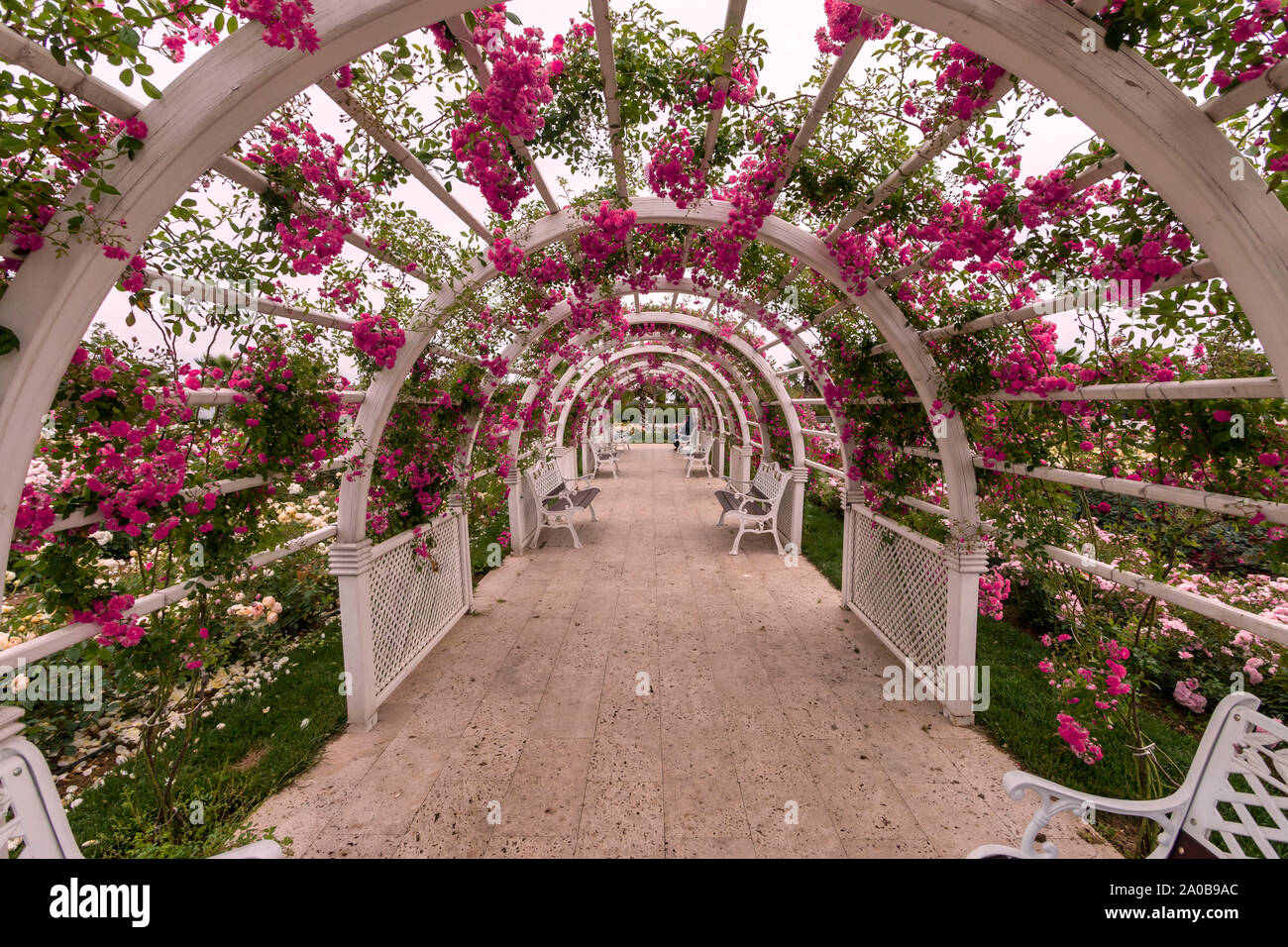 Flower tunnel hi-res stock photography and images - Alamy