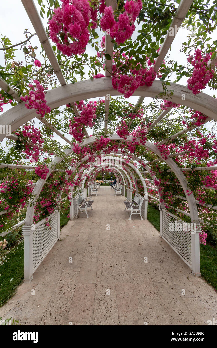 Flower tunnel hi-res stock photography and images - Alamy