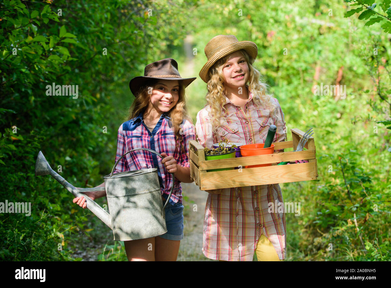 Geodesic orangery hi-res stock photography and images - Alamy