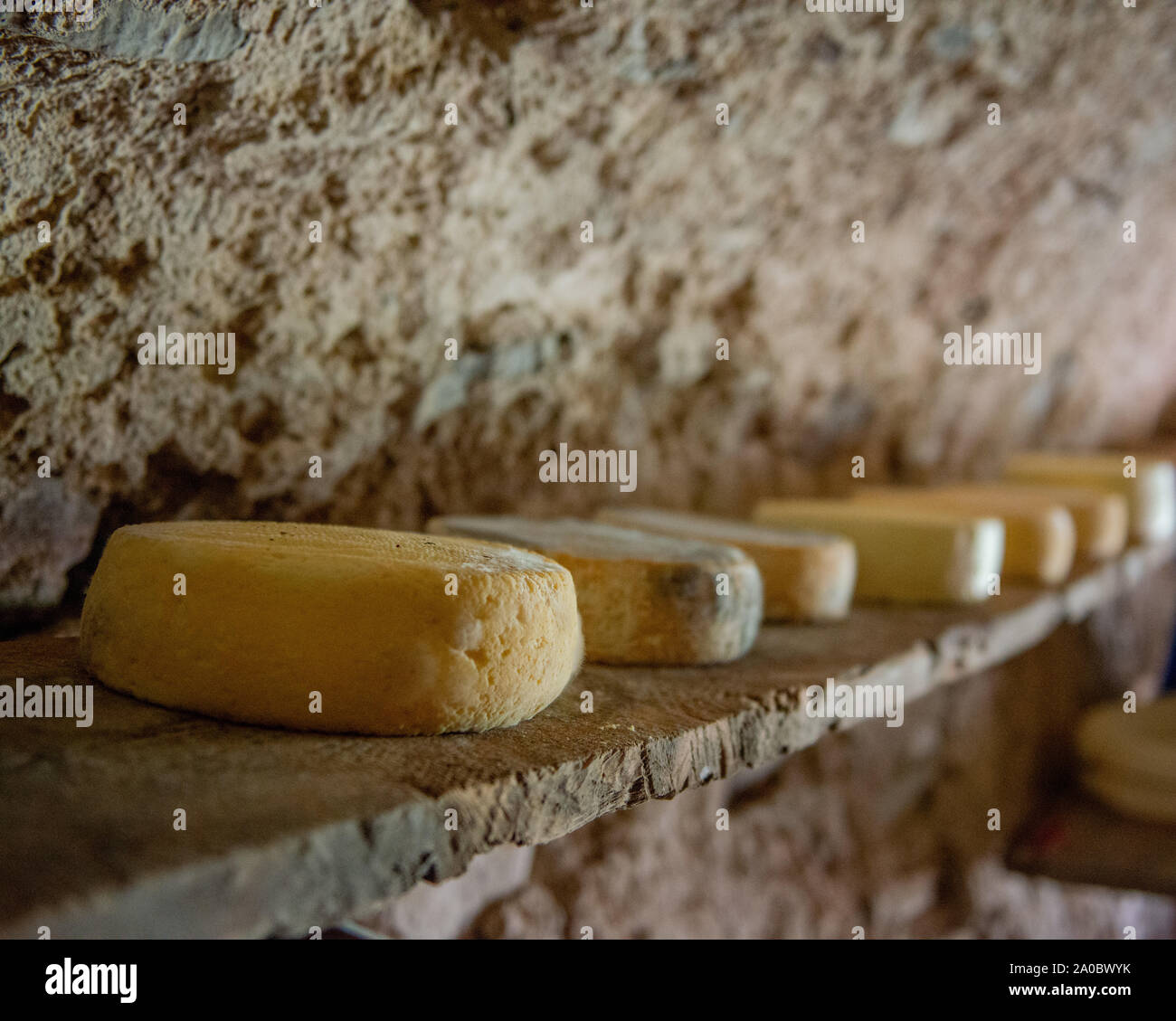 Branzi cheese hi-res stock photography and images - Alamy