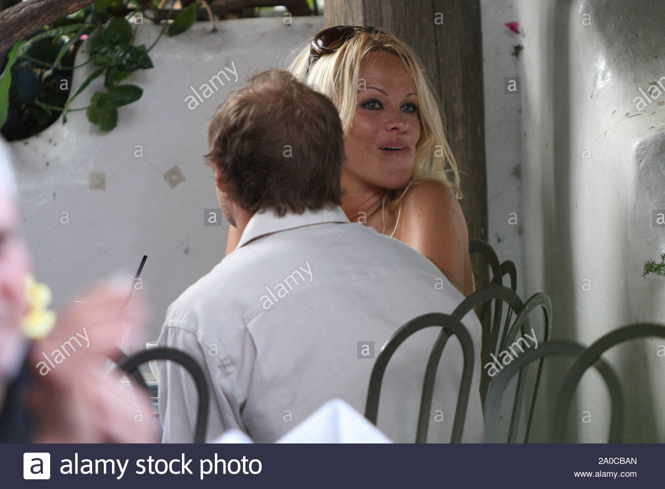 Padgett Stock Photos & Padgett Stock Images - Alamy