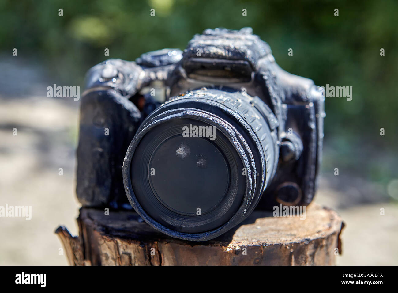As a result of a forest fire, the camera of hiking tourists burned down ...