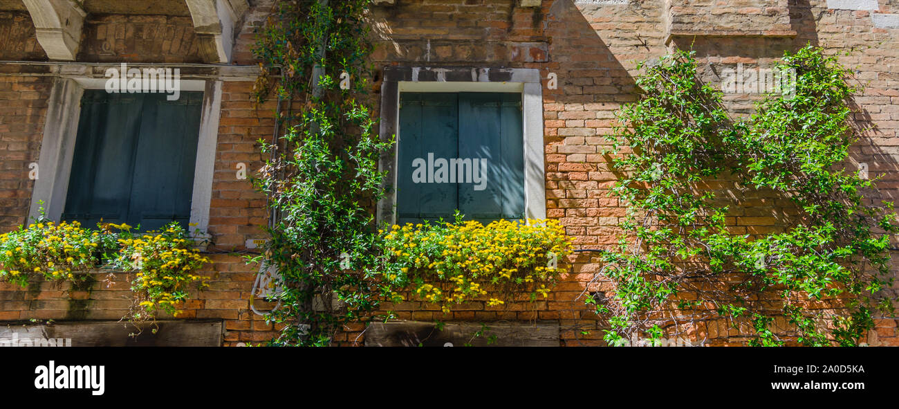 Venetian windows flowers green hi-res stock photography and images - Alamy