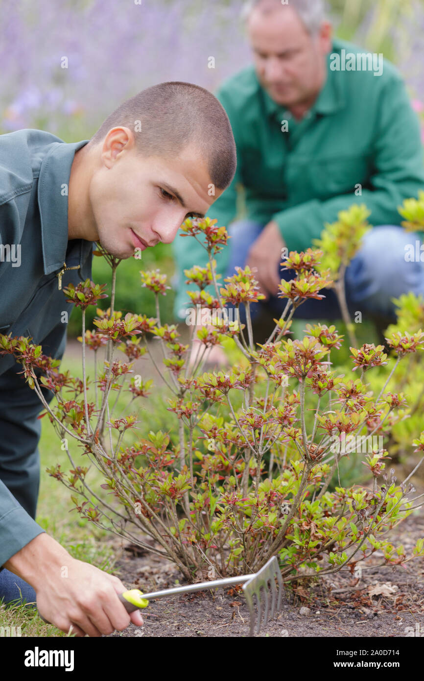 Raking soil hi-res stock photography and images - Alamy