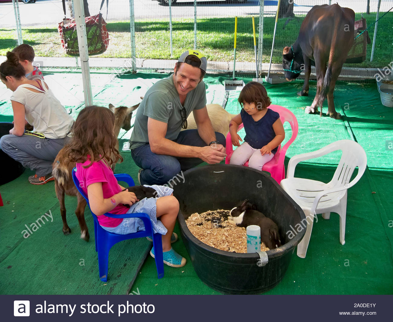 Mark Feuerstein Wife Dana Klein Stock Photos & Mark Feuerstein Wife ...