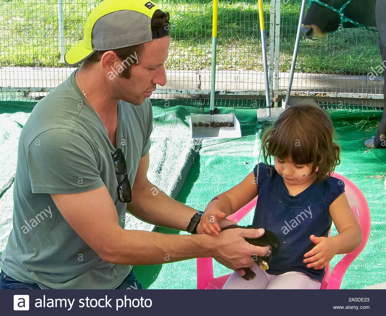 Mark Feuerstein Wife Dana Klein Stock Photos & Mark Feuerstein Wife ...