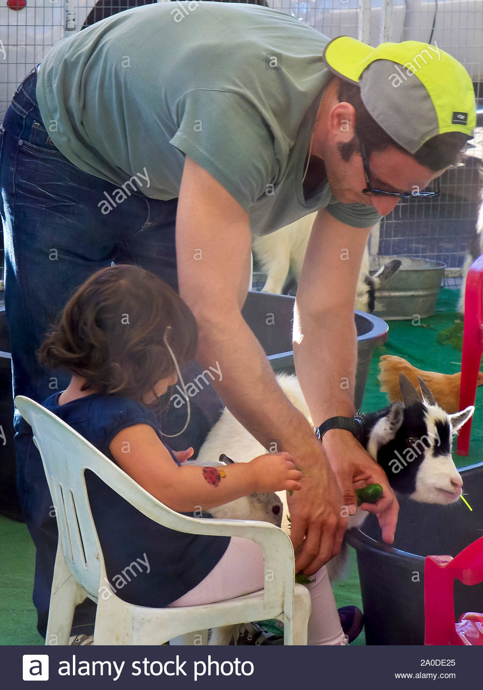 Mark Feuerstein Wife Dana Klein Stock Photos & Mark Feuerstein Wife ...