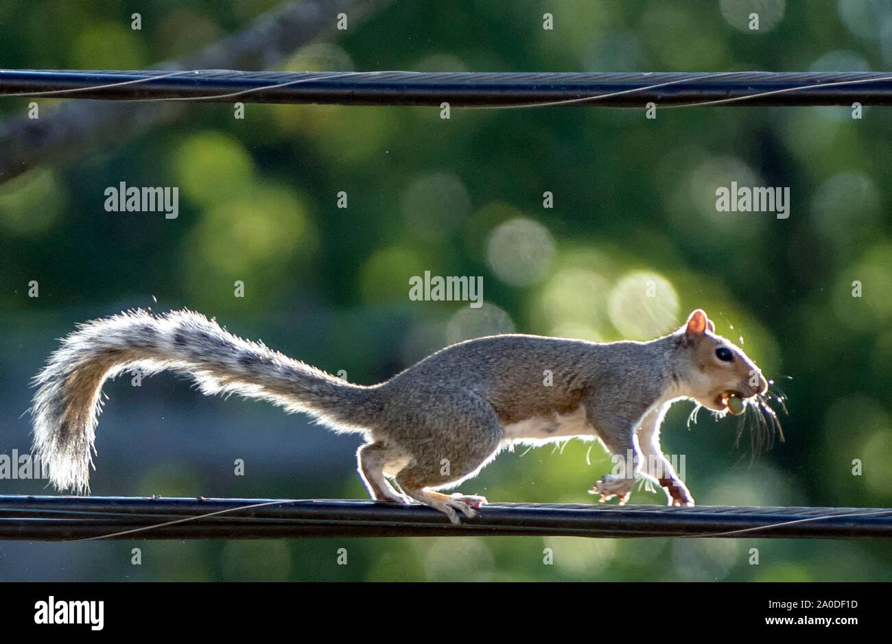 Crossing the line Stock Photo - Alamy