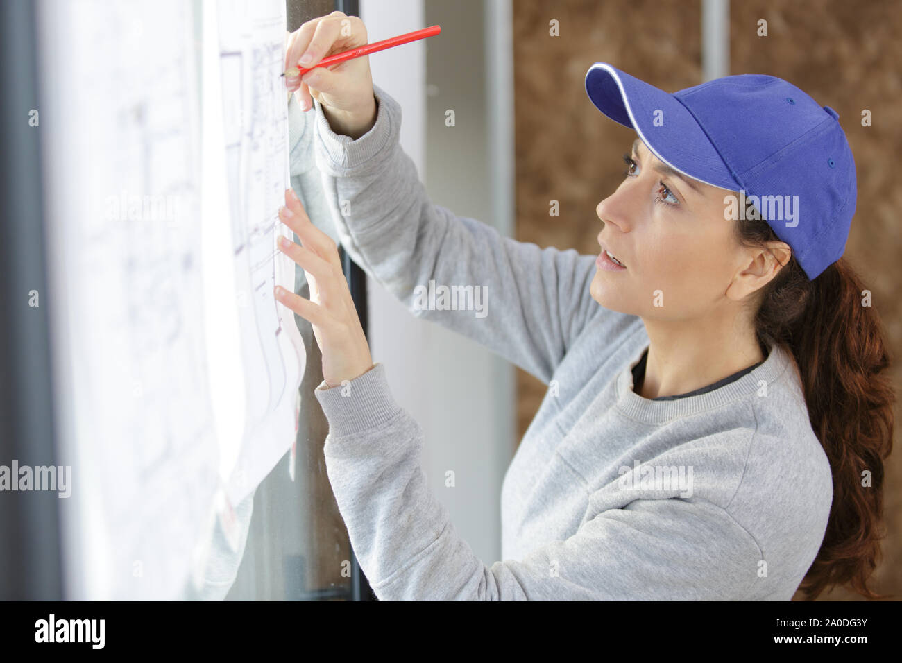 woman working on blueprint plans Stock Photo - Alamy