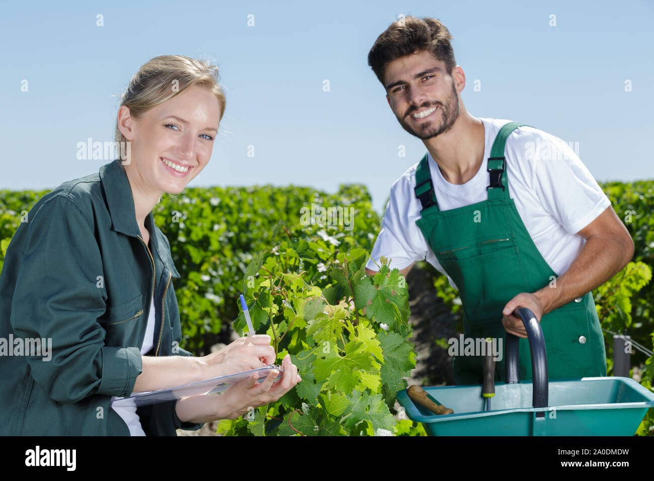 couple of vineyard workers posing Stock Photo - Alamy