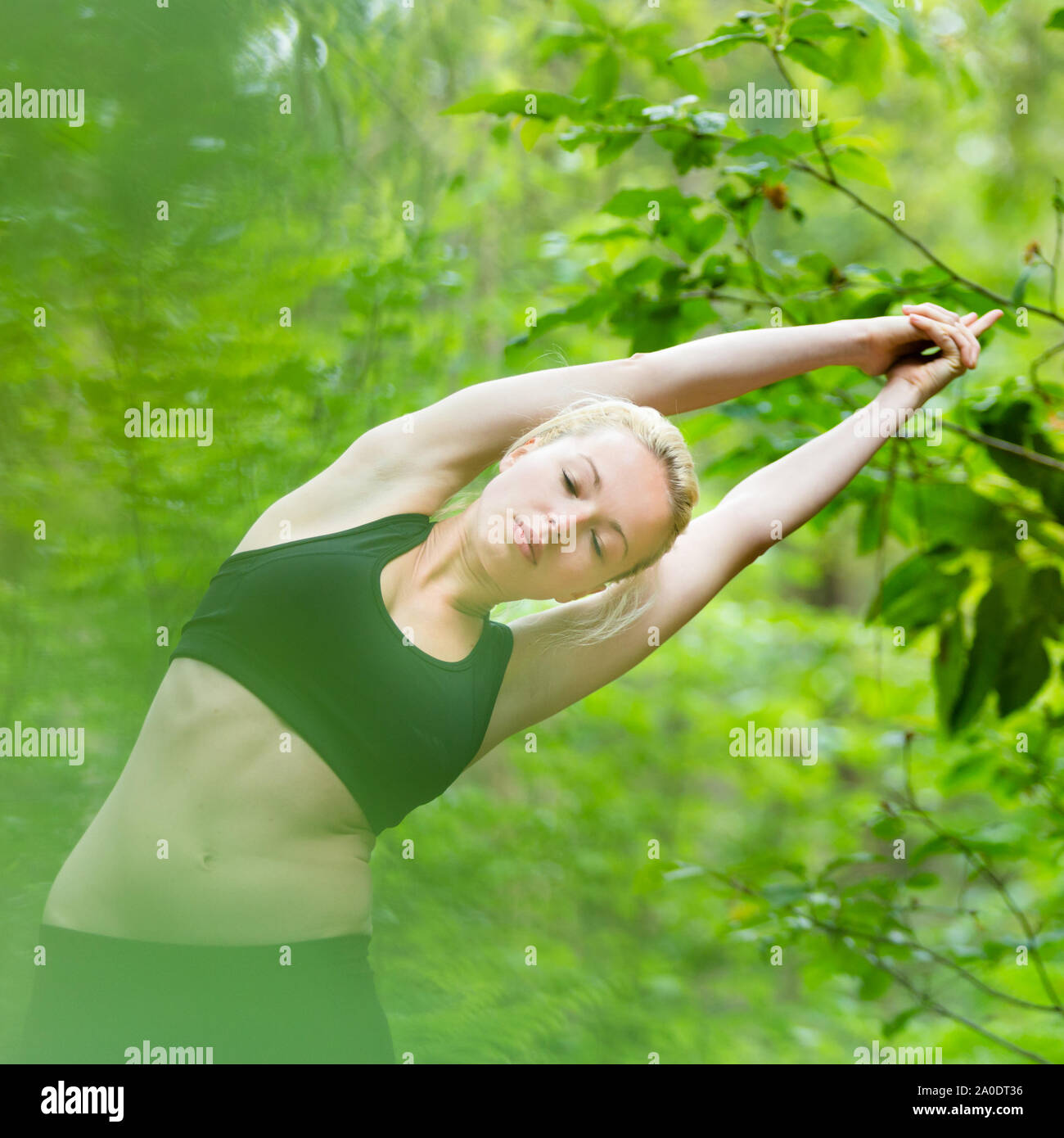 Flexible in nature hi-res stock photography and images - Alamy
