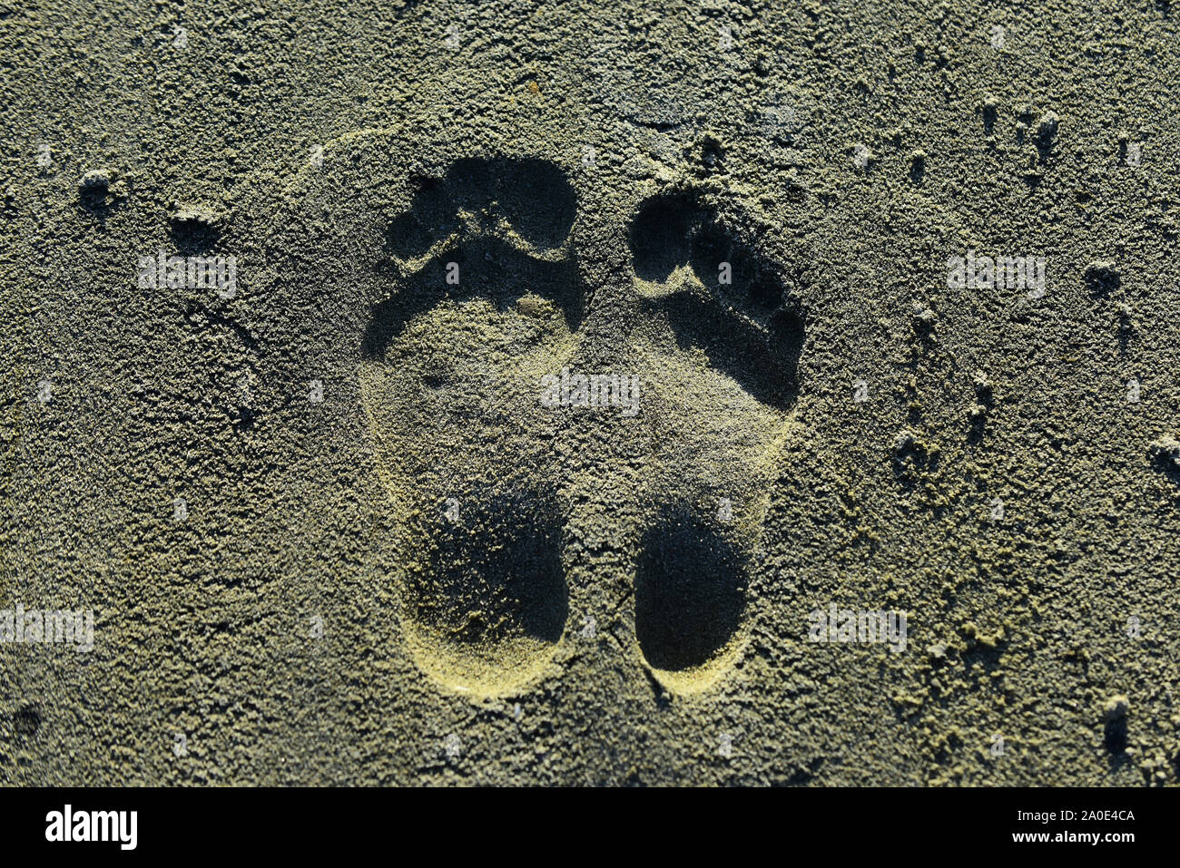 Footprints on sand. Human imprints, prints, tracks on sandy surface ...