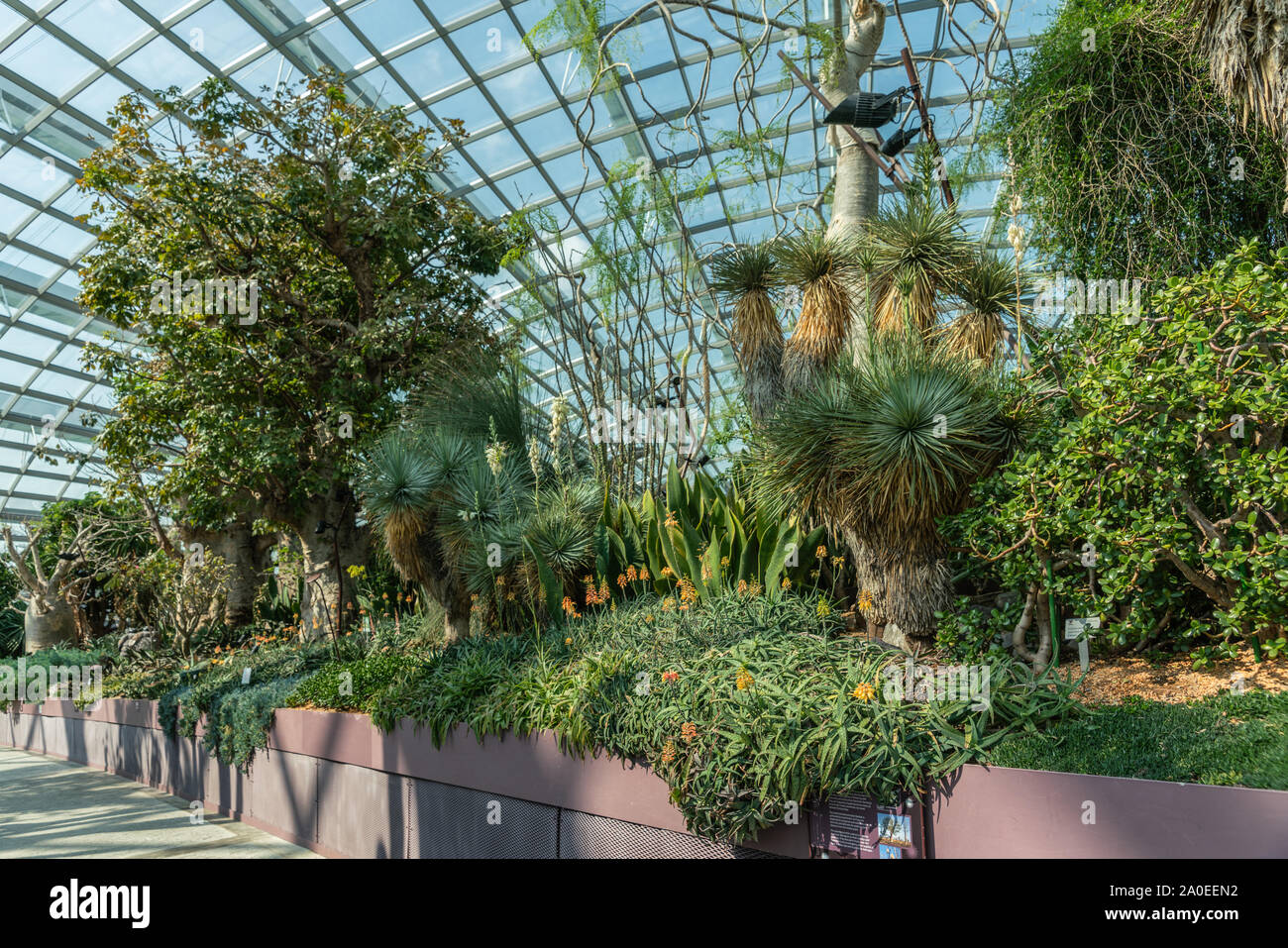 Singapore - March 22, 2019: Gardens by the Bay, the Flower Dome ...