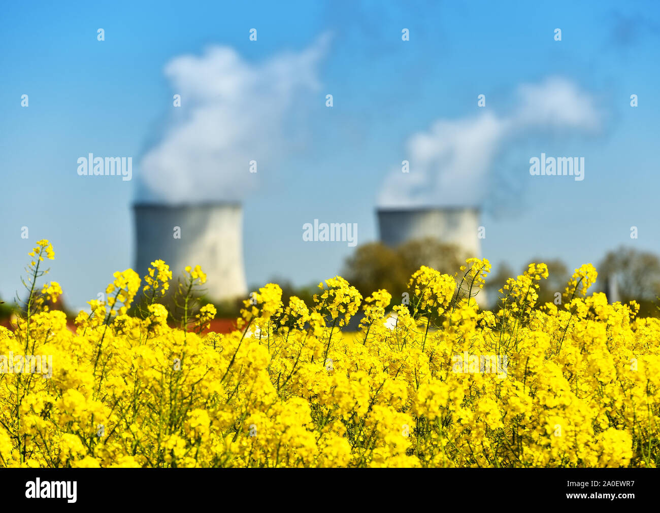 nuclear power plant and colza fields Stock Photo - Alamy