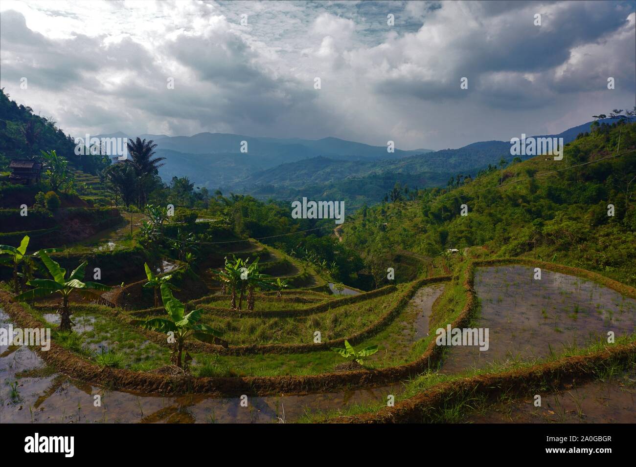 Ciptagelar hi-res stock photography and images - Alamy