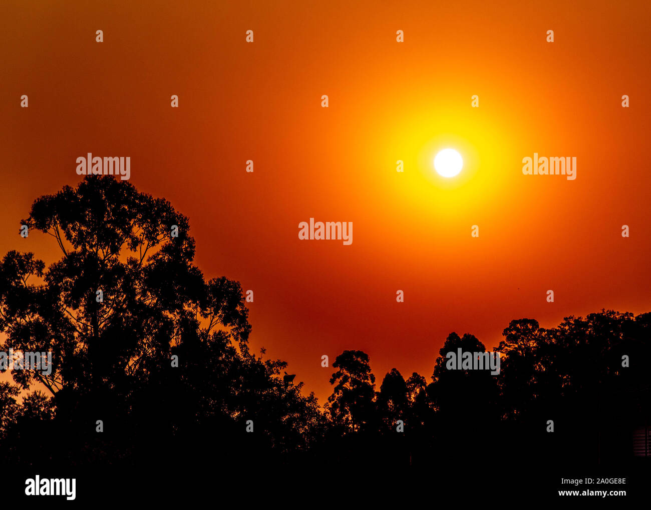 The colors and silhouette of objects on a late winter afternoon in southern Brazil, bordering ...