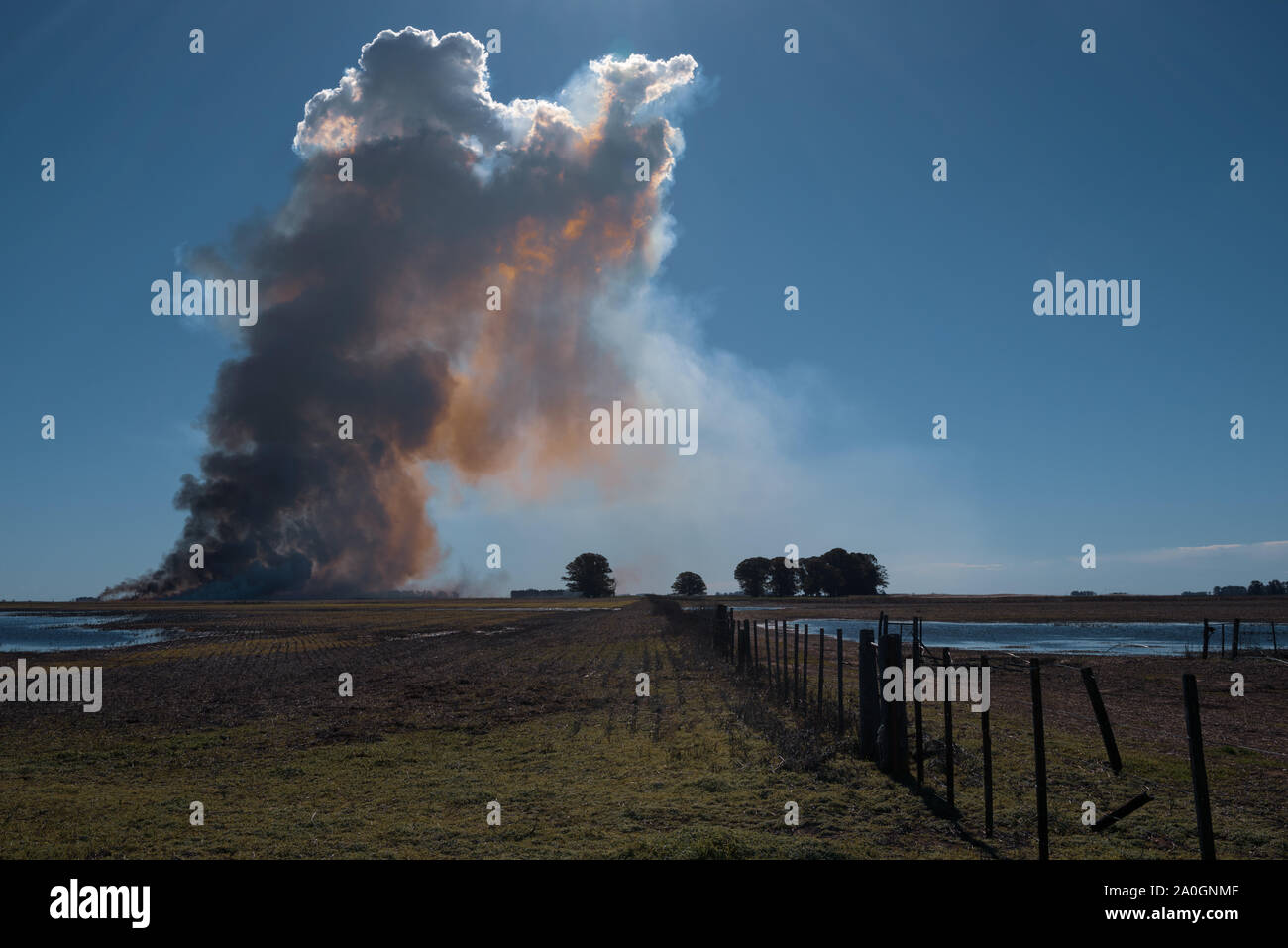 Explosion fire column hi-res stock photography and images - Alamy