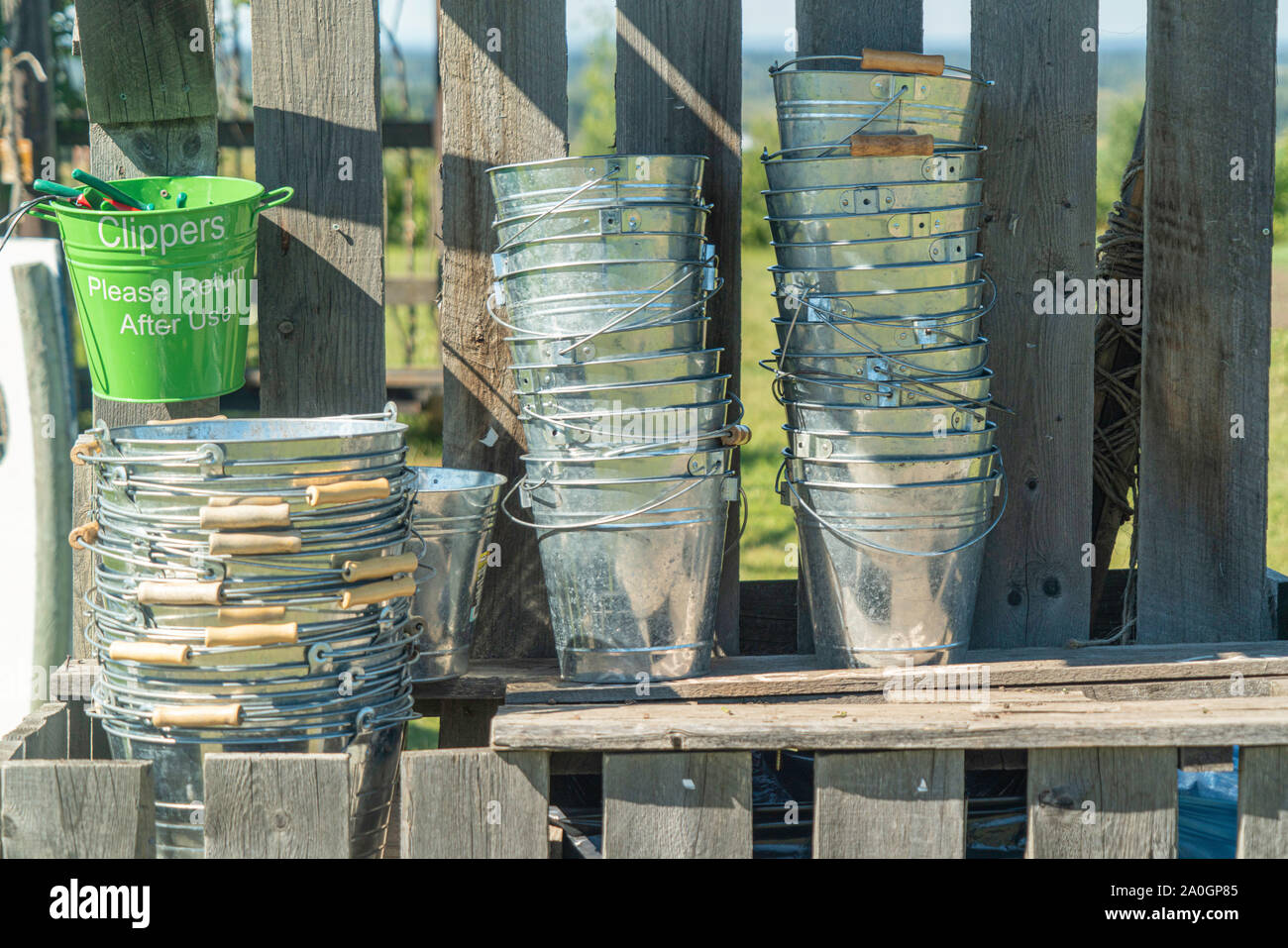 Pile of buckets on farm used for harvesting Stock Photo - Alamy