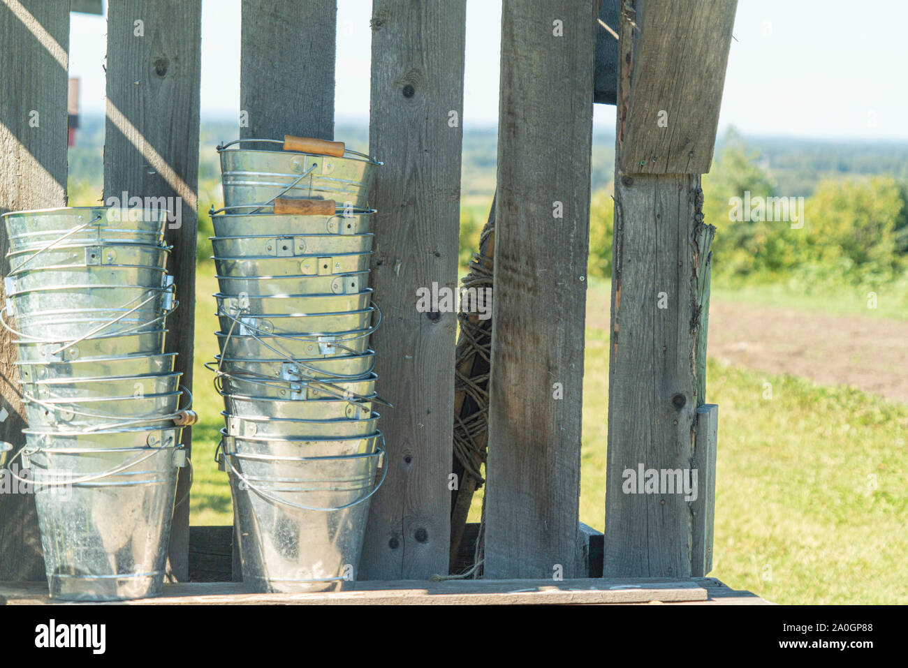Pile of buckets on farm used for harvesting Stock Photo - Alamy