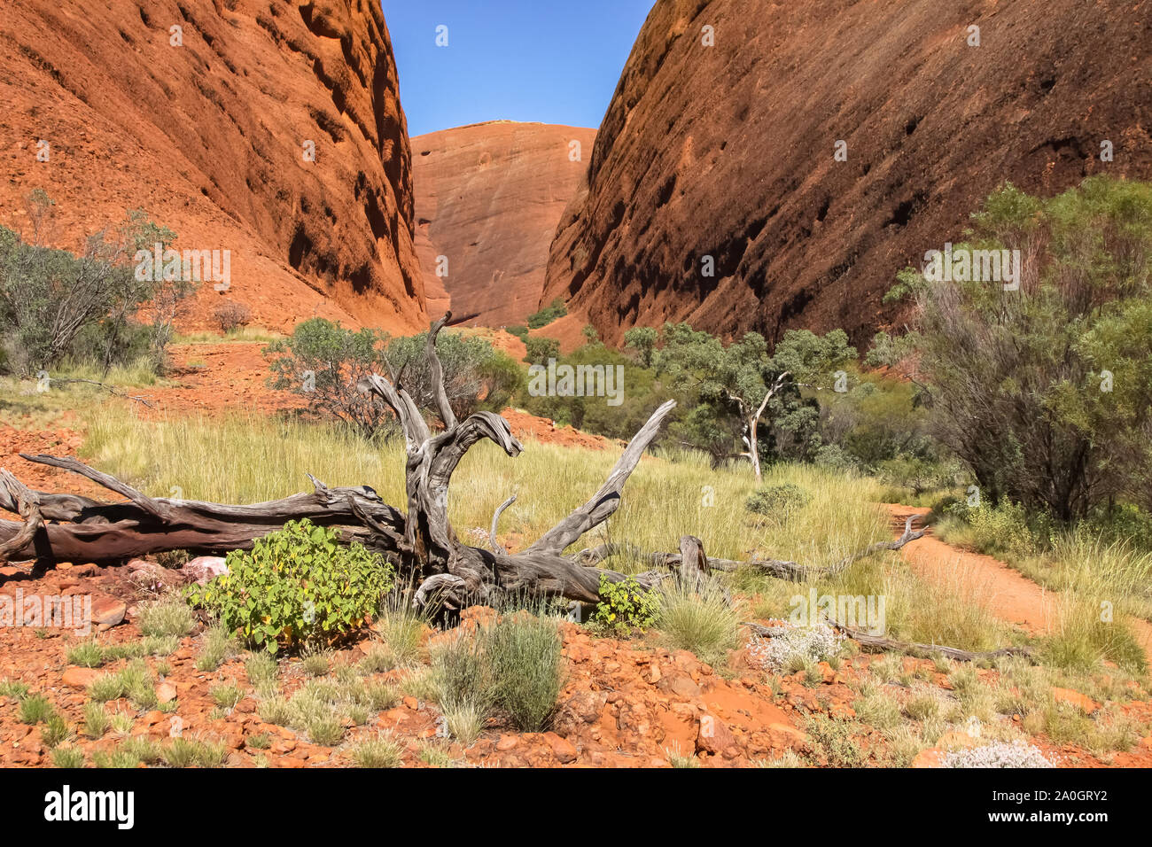 Rock formations desert vegetation hi-res stock photography and images ...