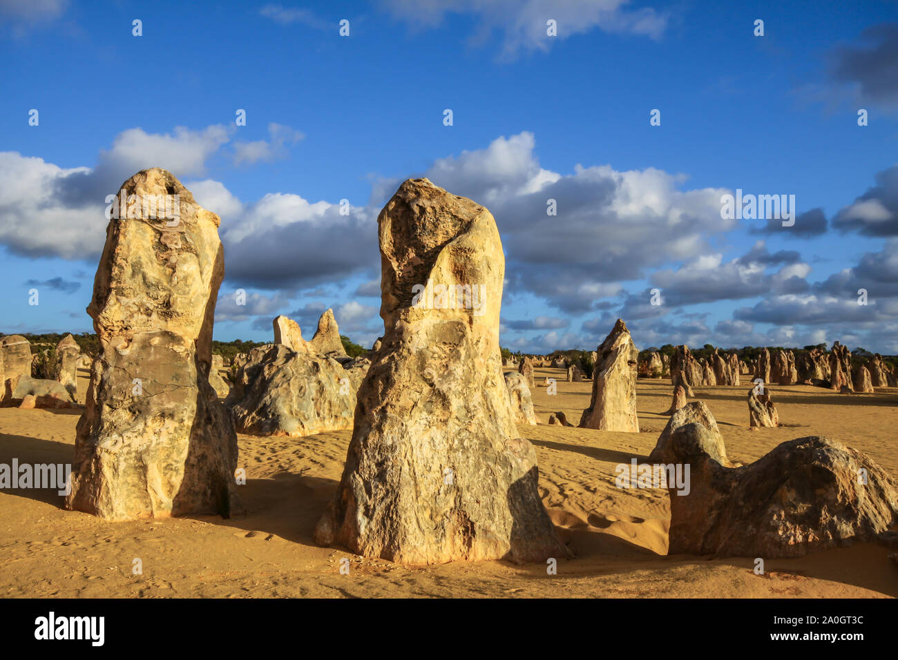 Bizarre rock formations The Pinnacles in late afternoon light, Nambung ...